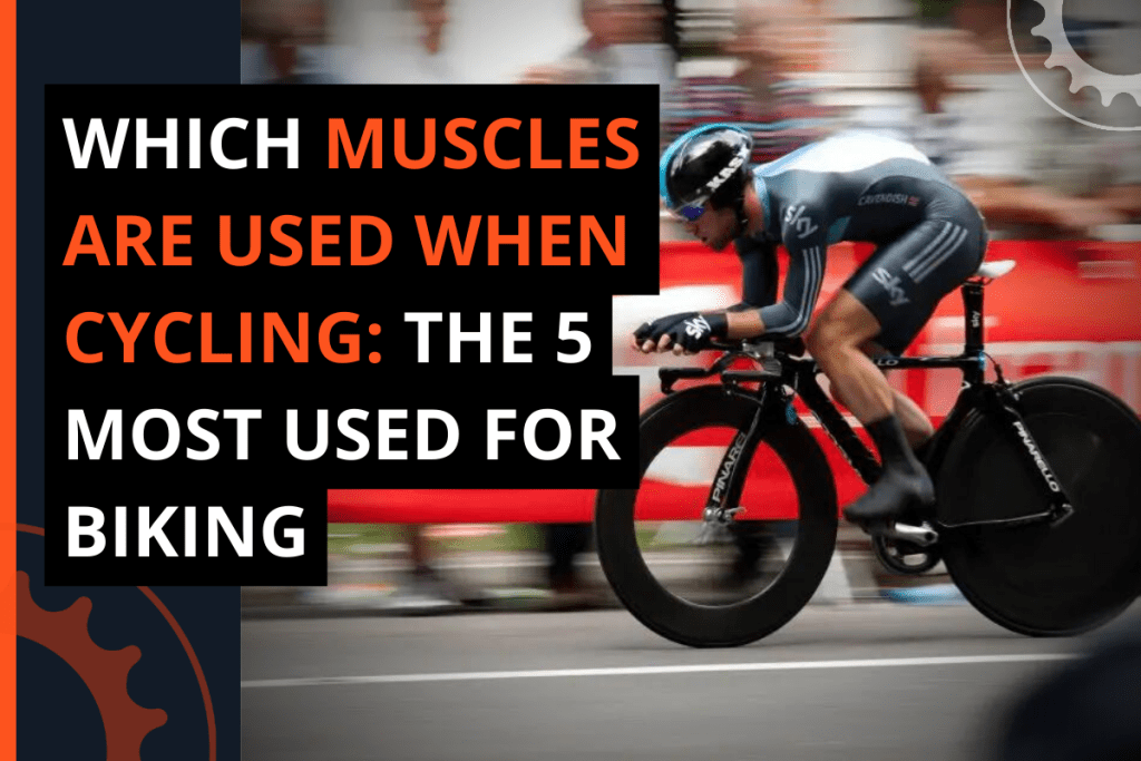 Which Muscles Are Used When Cycling: The Top 5 for Biking