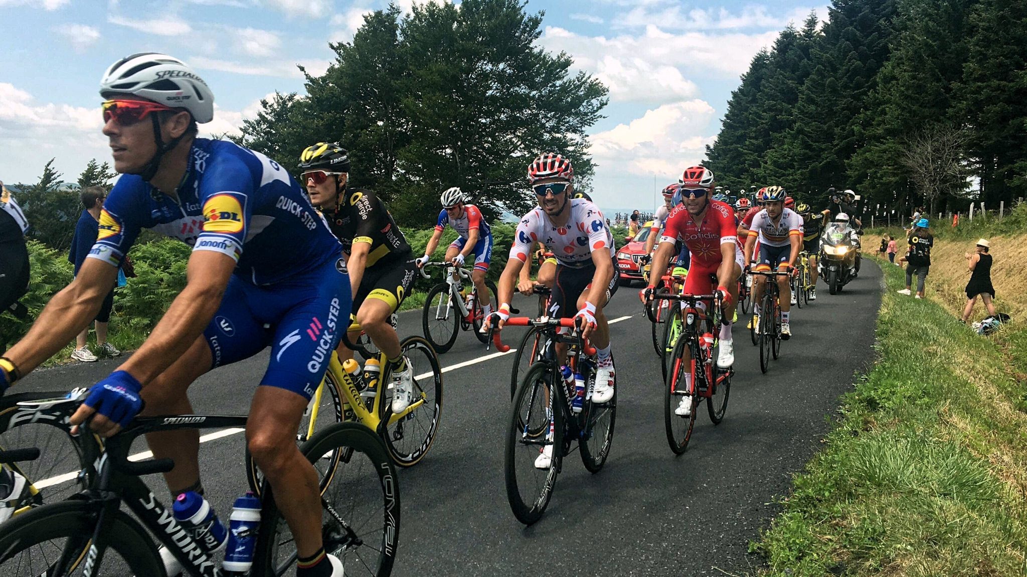 What Is a Brevet? The Long-Distance Cycling Challenge You've Never Heard Of